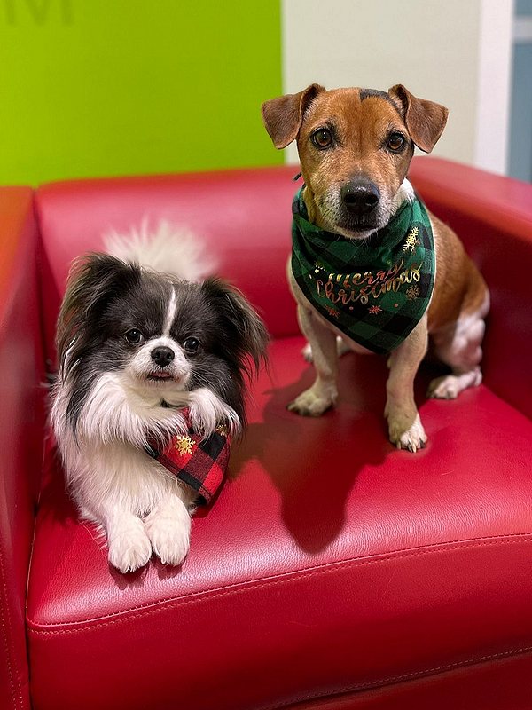 Versicherung LVM Butzbach Stephanie Messner - Ihre LVM-Versicherungsagentur